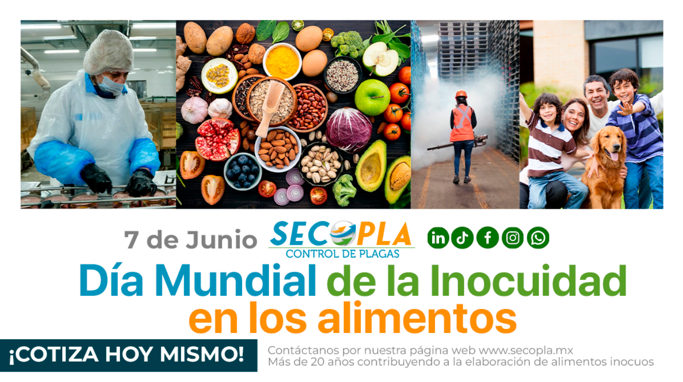 ¿Qué es la inocuidad alimentaria? - SECOPLA