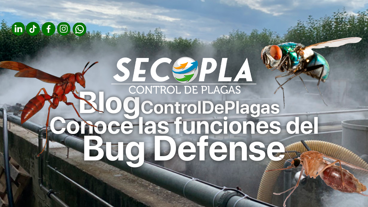 Bug Defense: Tu Escudo Contra las Plagas en la Industria Alimentaria - SECOPLA