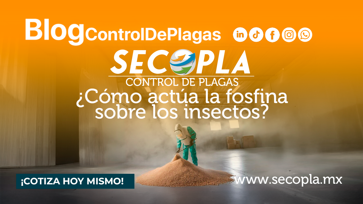 La Fosfina: Un Asesino Silencioso para las Plagas - SECOPLA