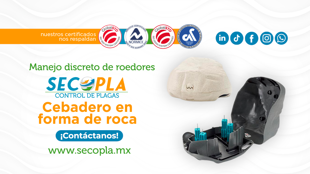 El cebadero tipo roca: innovación discreta en el control de plagas ...